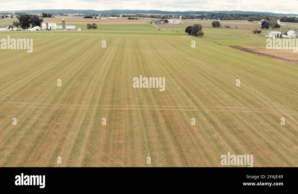 Grass patch and road Stock Videos & Footage - HD and 4K Video Clips - Alamy