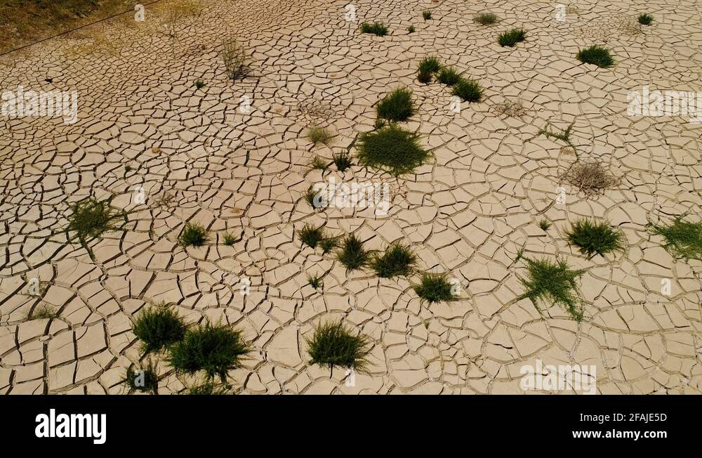 Parched field texture Stock Videos & Footage - HD and 4K Video Clips ...