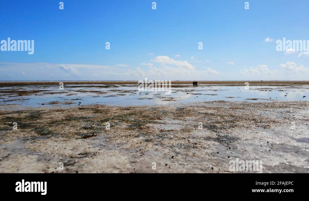Sea level drop Stock Videos & Footage - HD and 4K Video Clips - Alamy