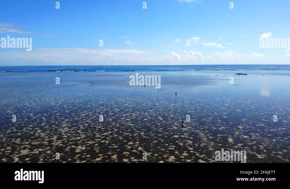 People wading Stock Videos & Footage - HD and 4K Video Clips - Alamy
