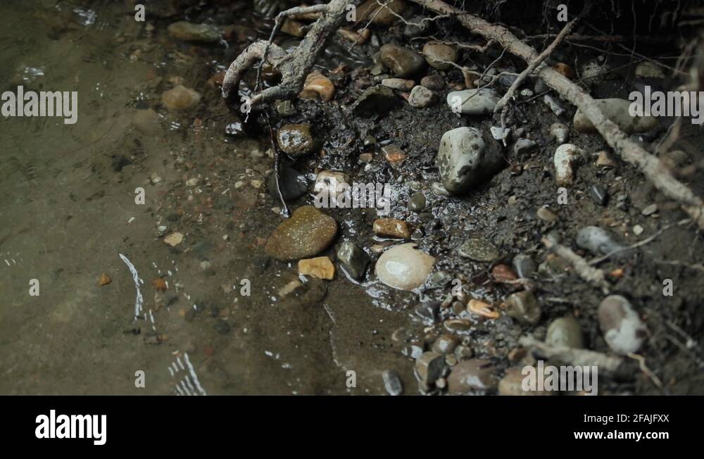 Water lapping up Stock Videos & Footage - HD and 4K Video Clips - Alamy