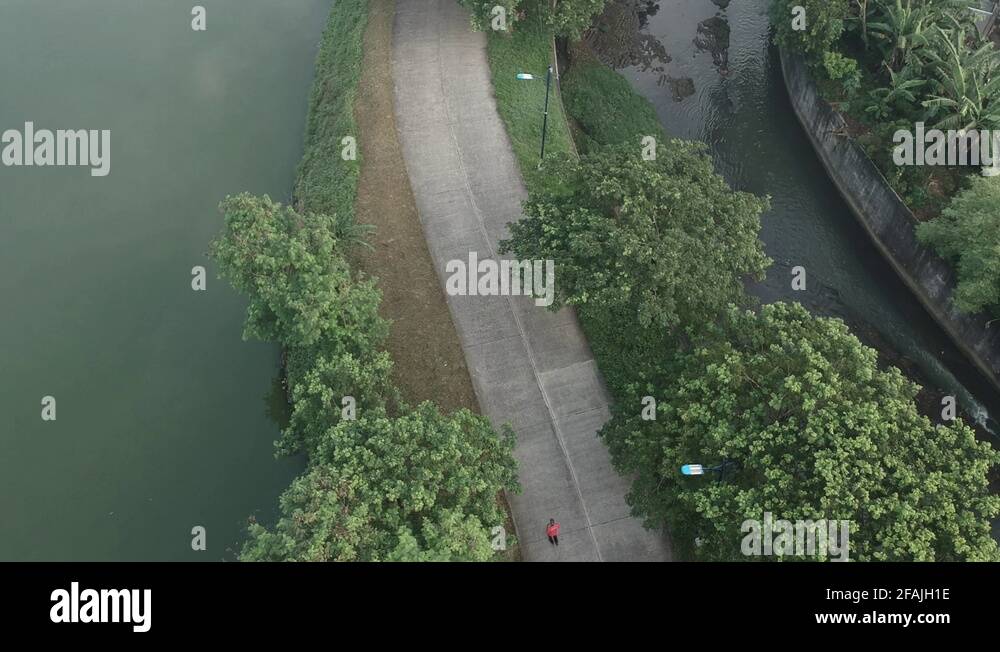 Side view of bird Stock Videos & Footage - HD and 4K Video Clips - Alamy