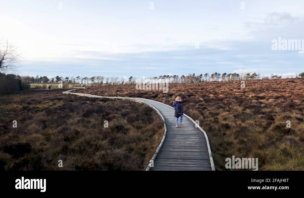 Balerno Stock Videos & Footage - HD and 4K Video Clips - Alamy