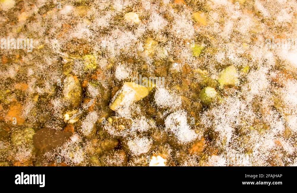 Visable Stock Videos & Footage - HD and 4K Video Clips - Alamy