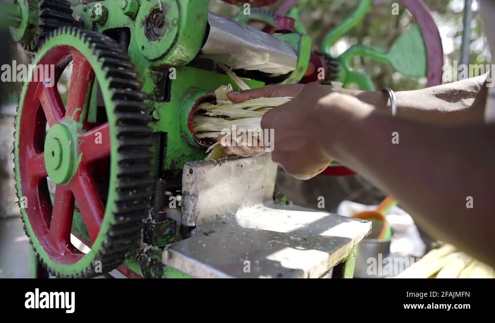 Cane worker Stock Videos & Footage - HD and 4K Video Clips - Alamy