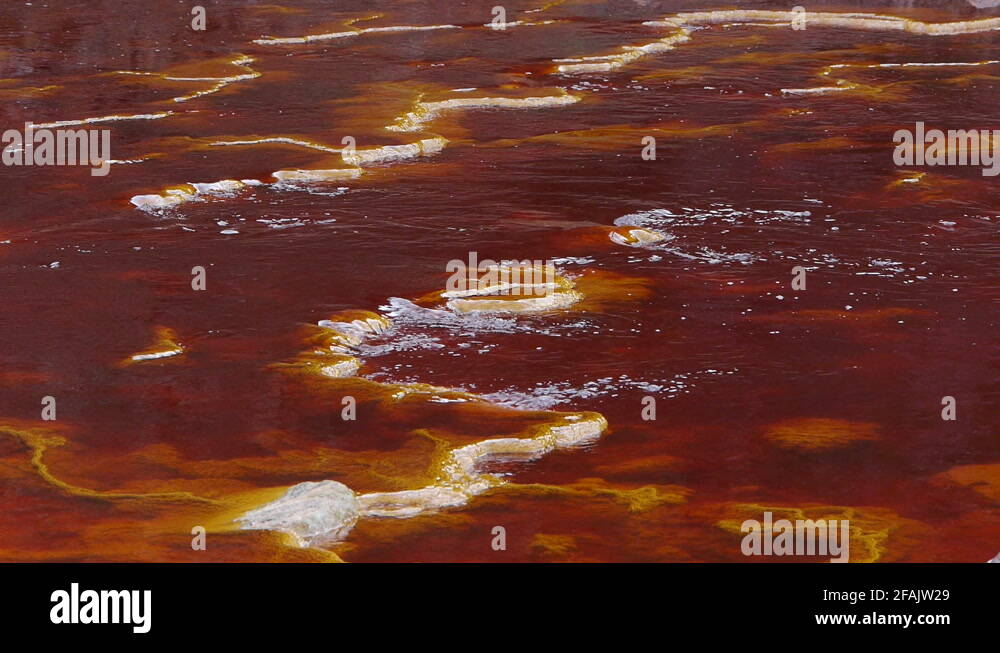 Snake forms Stock Videos & Footage - HD and 4K Video Clips - Alamy