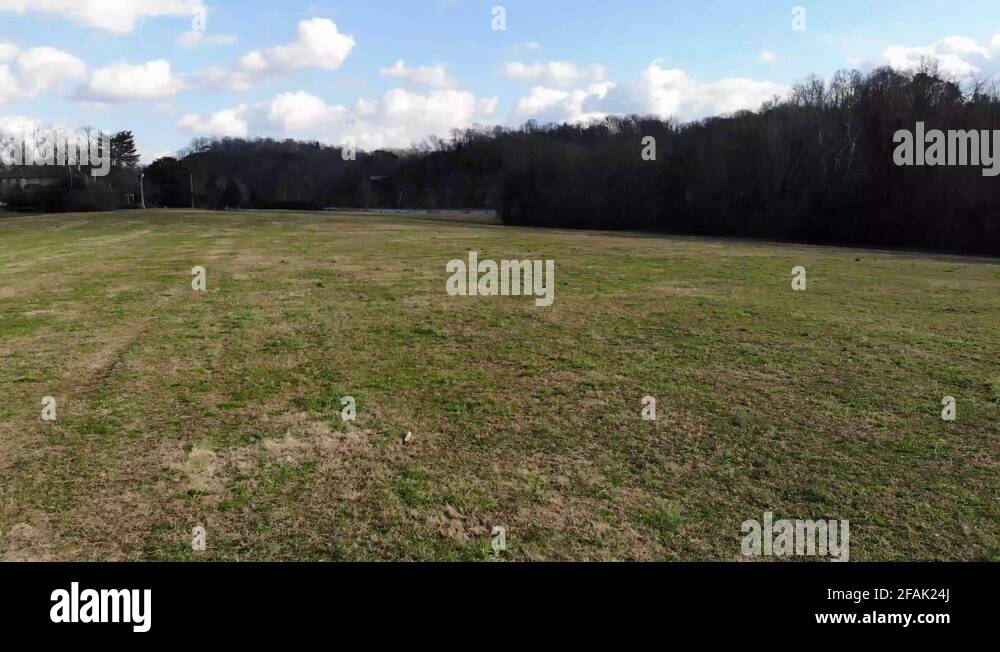 Flying through grass Stock Videos & Footage - HD and 4K Video Clips - Alamy