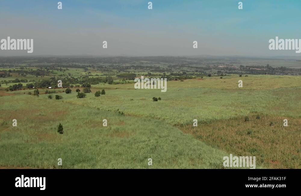 Maize fields Stock Videos & Footage - HD and 4K Video Clips - Alamy