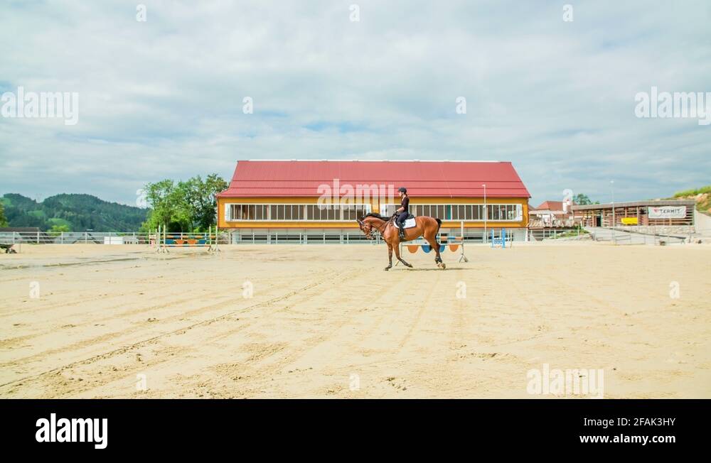 Amazing and beautiful horse Stock Videos & Footage - HD and 4K Video ...