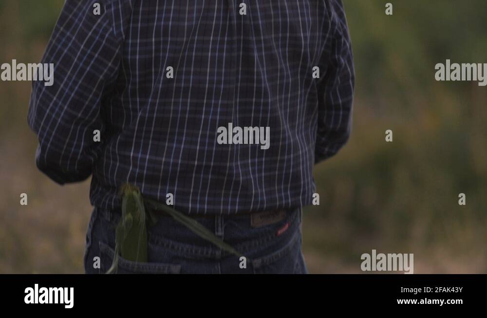 Old crop Stock Videos & Footage - HD and 4K Video Clips - Alamy