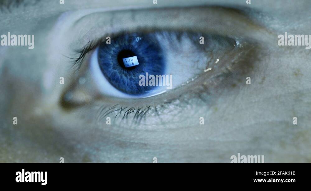 Reflection screen computer Stock Videos & Footage - HD and 4K Video ...