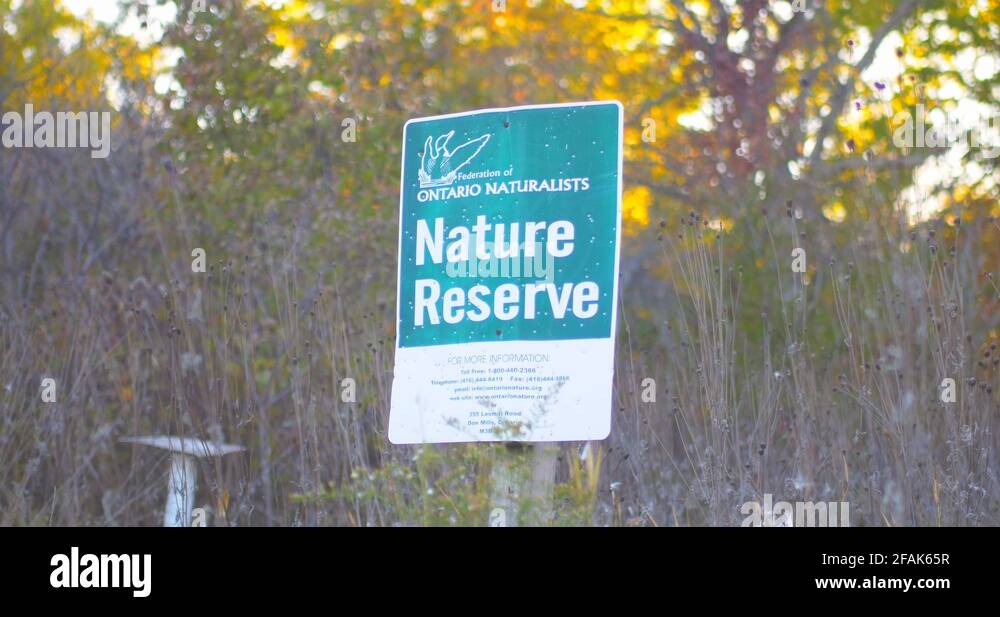 Ecosystem conservation natural habitat Stock Videos & Footage - HD and ...