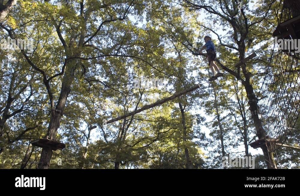 Boy with trees Stock Videos & Footage - HD and 4K Video Clips - Alamy