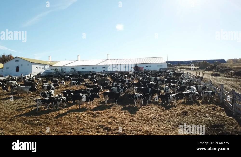 Farm helicopter Stock Videos & Footage - HD and 4K Video Clips - Alamy