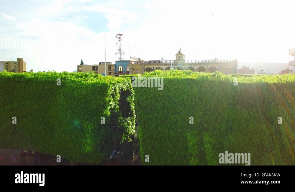 Garden structure hedge Stock Videos & Footage - HD and 4K Video Clips ...