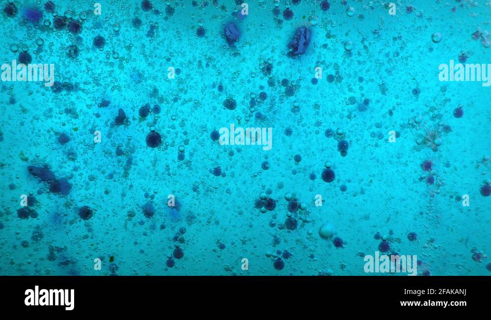 Abstract blue blob and slow bubbles into fluid science background Stock ...