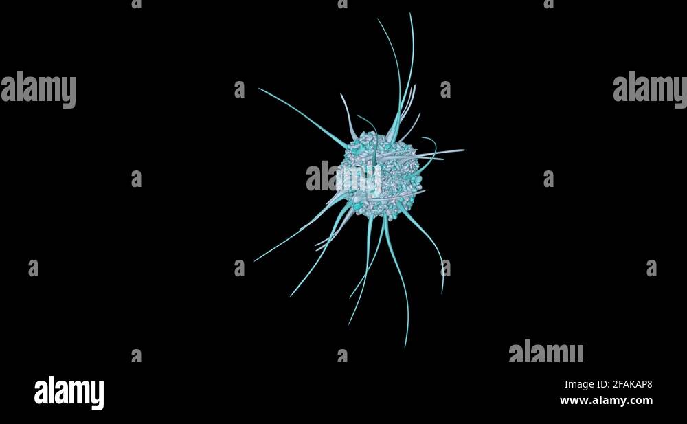 Cancer cell immunity system Stock Videos & Footage - HD and 4K Video ...