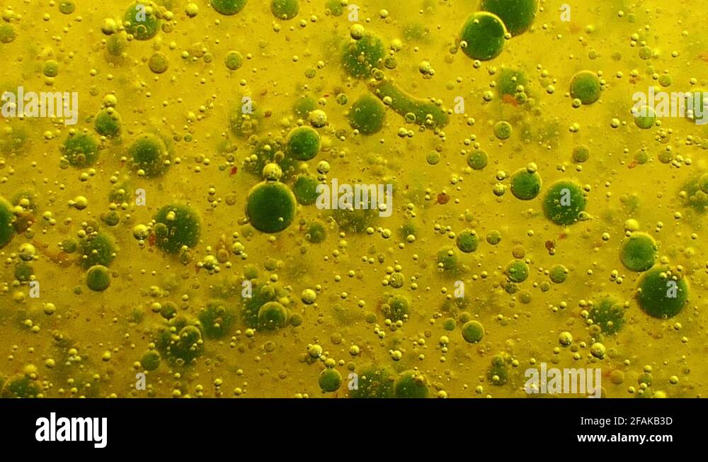 Abstract green blob and fast bubbles science background Stock Video ...