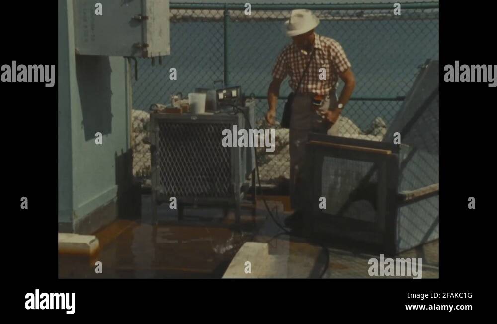 Lions released Stock Videos & Footage - HD and 4K Video Clips - Alamy