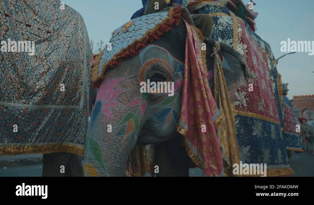 Colorful Elephant walking at a traditional festival in India carrying ...
