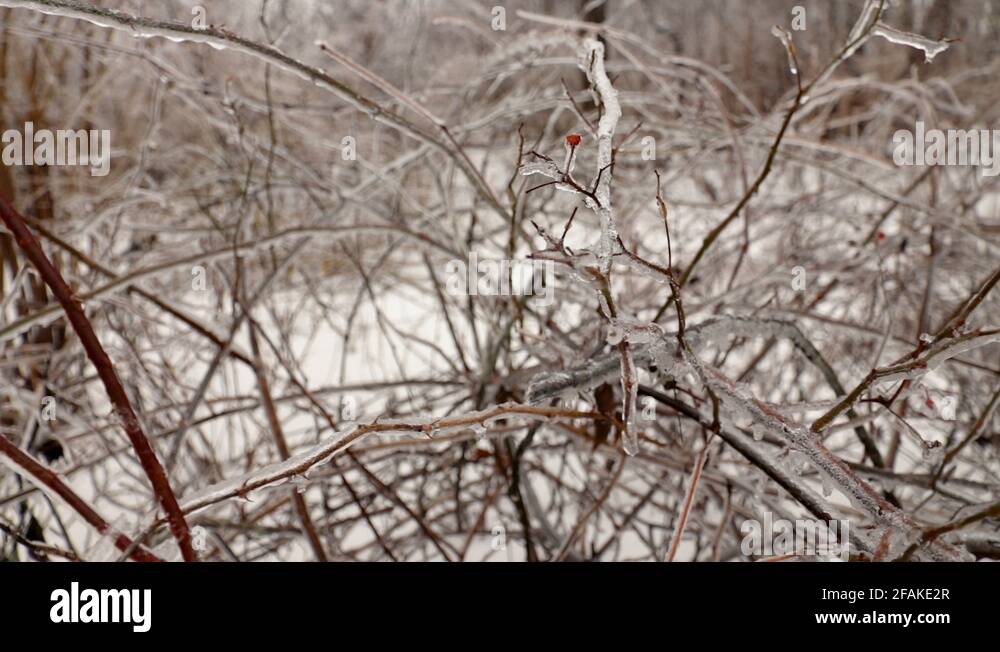 Frozen structures Stock Videos & Footage - HD and 4K Video Clips - Alamy