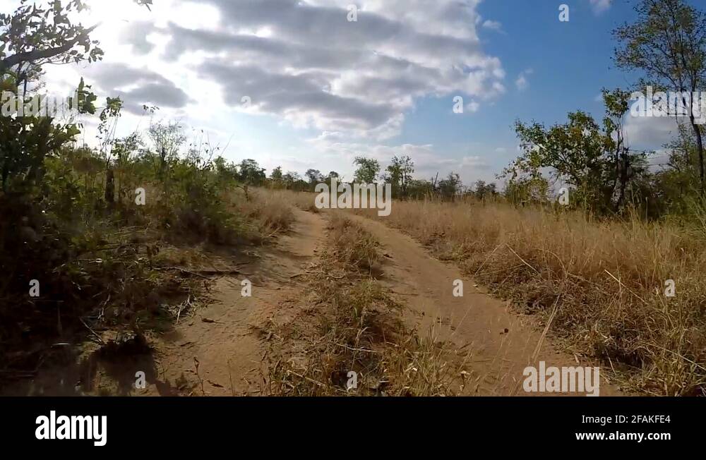 African safari location Stock Videos & Footage - HD and 4K Video Clips ...