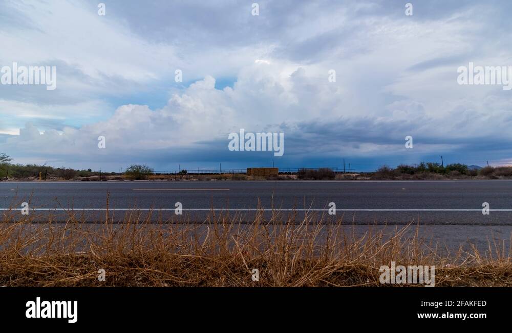 Cattle dust storm Stock Videos & Footage - HD and 4K Video Clips - Alamy