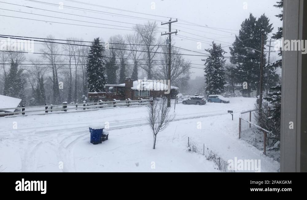 Snowmageddon Stock Videos & Footage - HD and 4K Video Clips - Alamy