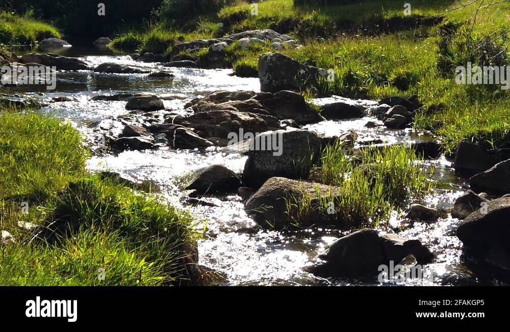 Calming sounds Stock Videos & Footage - HD and 4K Video Clips - Alamy