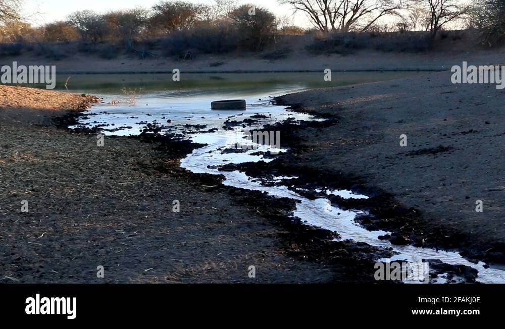 Famine wall Stock Videos & Footage - HD and 4K Video Clips - Alamy