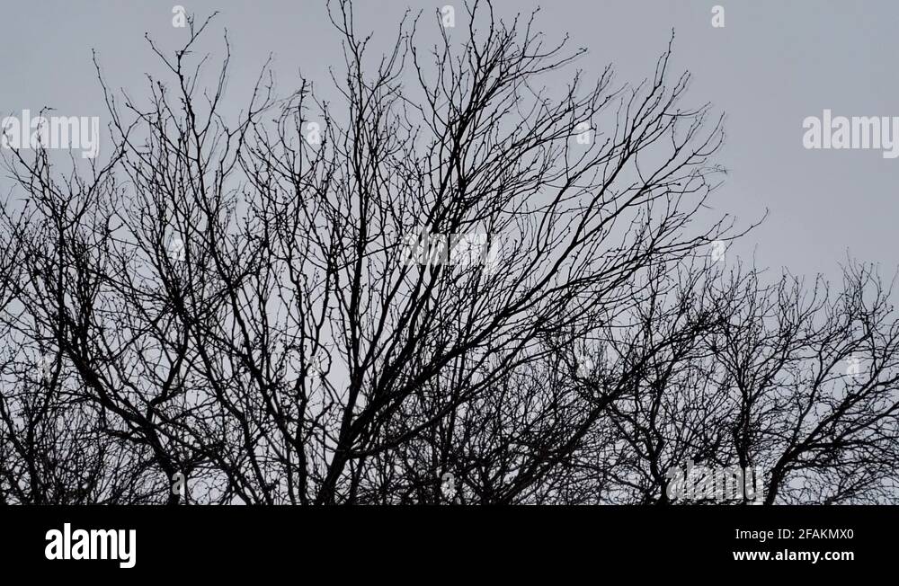 Pillar compound Stock Videos & Footage - HD and 4K Video Clips - Alamy