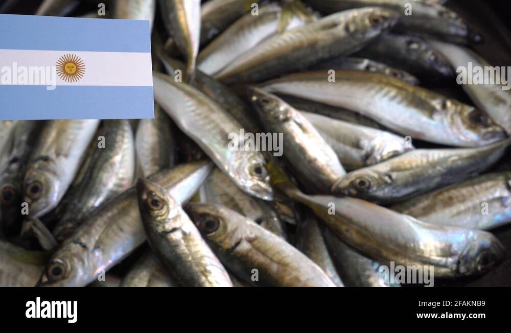 Argentina seafood Stock Videos & Footage - HD and 4K Video Clips - Alamy
