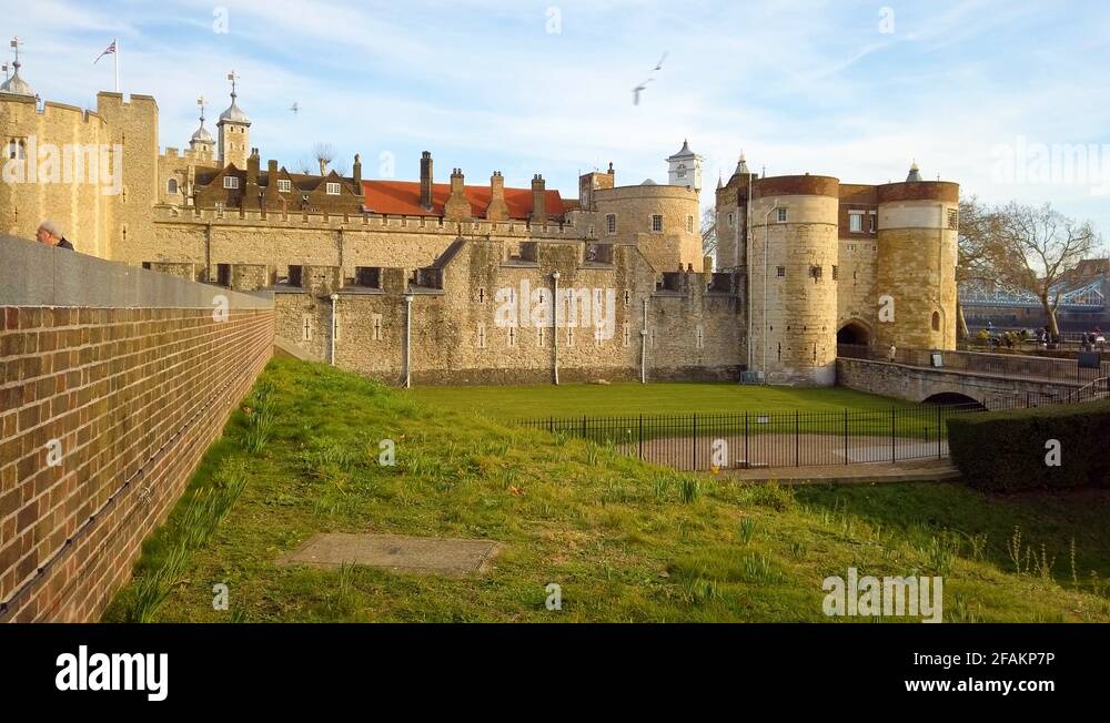 Tower of london birds Stock Videos & Footage - HD and 4K Video Clips ...