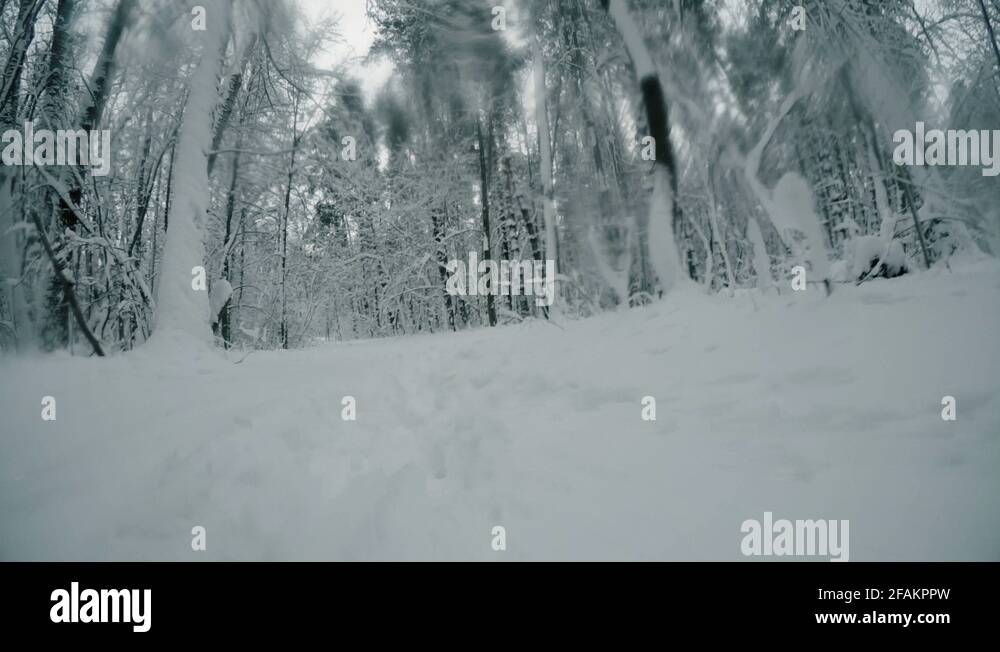 Evil force Stock Videos & Footage - HD and 4K Video Clips - Alamy