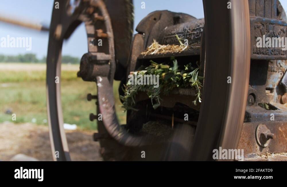 Chaff cutting machine Stock Videos & Footage - HD and 4K Video Clips ...