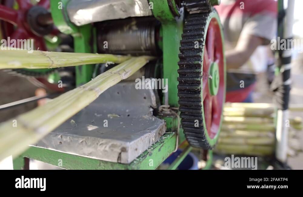 Sugar mill worker Stock Videos & Footage - HD and 4K Video Clips - Alamy