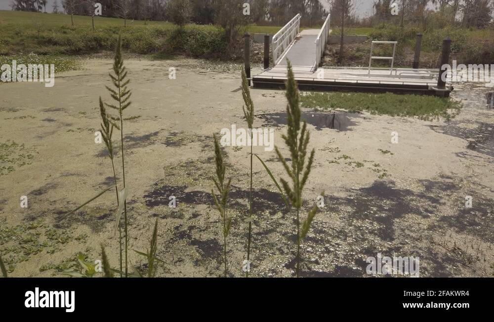 Dense layer Stock Videos & Footage - HD and 4K Video Clips - Alamy