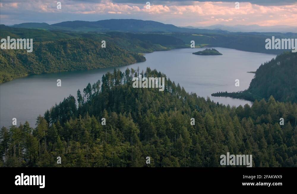 Rotokakahi Stock Videos & Footage - HD and 4K Video Clips - Alamy