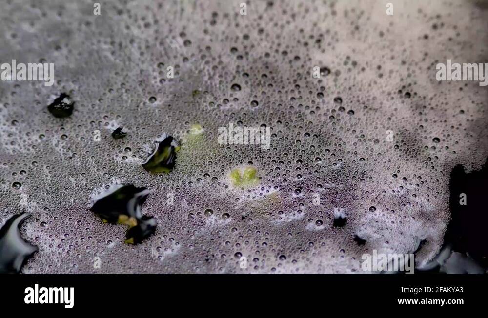 Bubble pond Stock Videos & Footage - HD and 4K Video Clips - Alamy