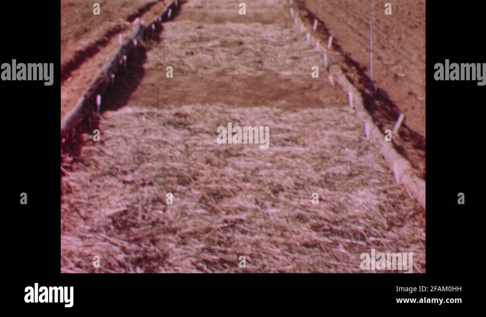 Field rake Stock Videos & Footage - HD and 4K Video Clips - Alamy