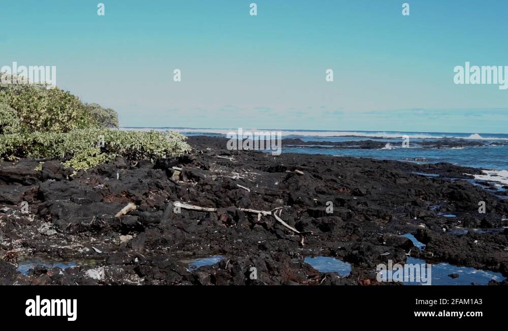 Tidal pools Stock Videos & Footage - HD and 4K Video Clips - Alamy