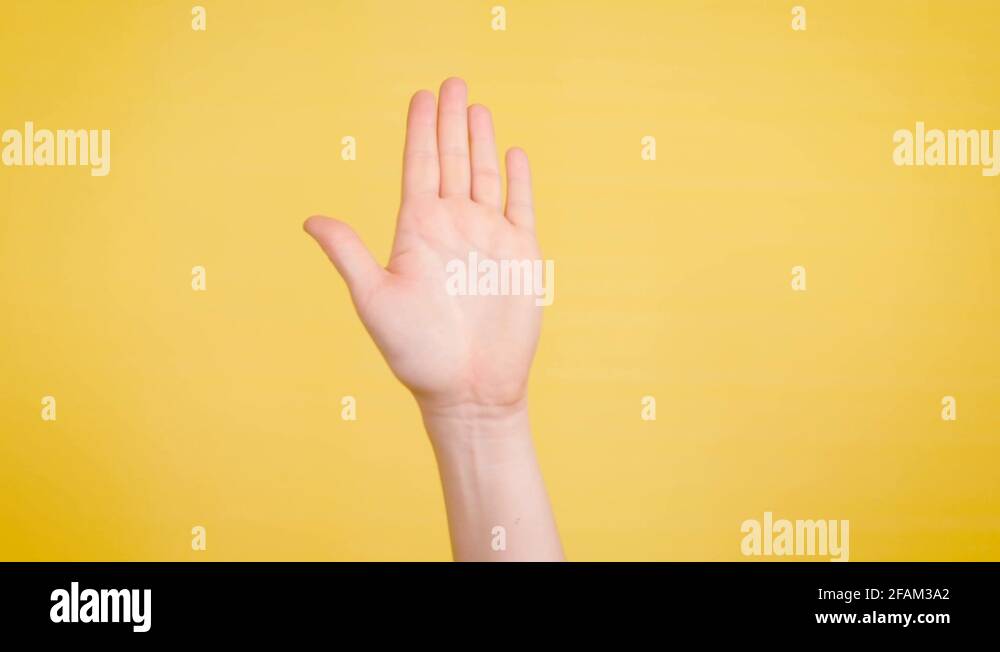 Stop sign hand held Stock Videos & Footage - HD and 4K Video Clips - Alamy