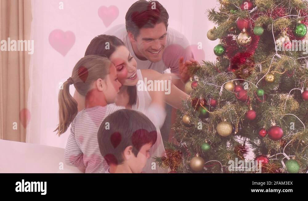 Composite family tree Stock Videos & Footage - HD and 4K Video Clips ...