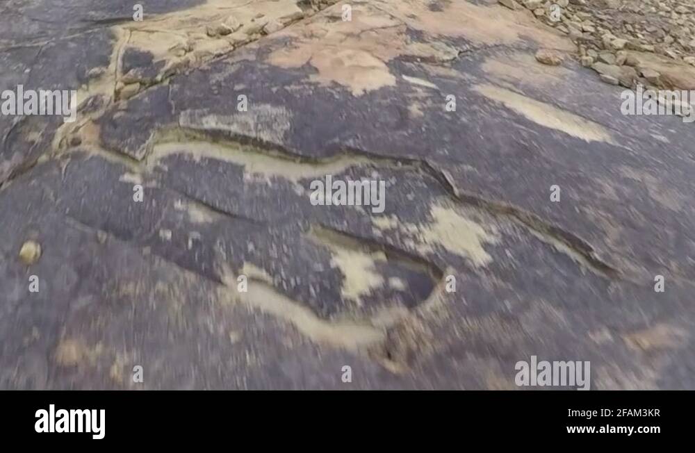 Morgan waters Stock Videos & Footage - HD and 4K Video Clips - Alamy