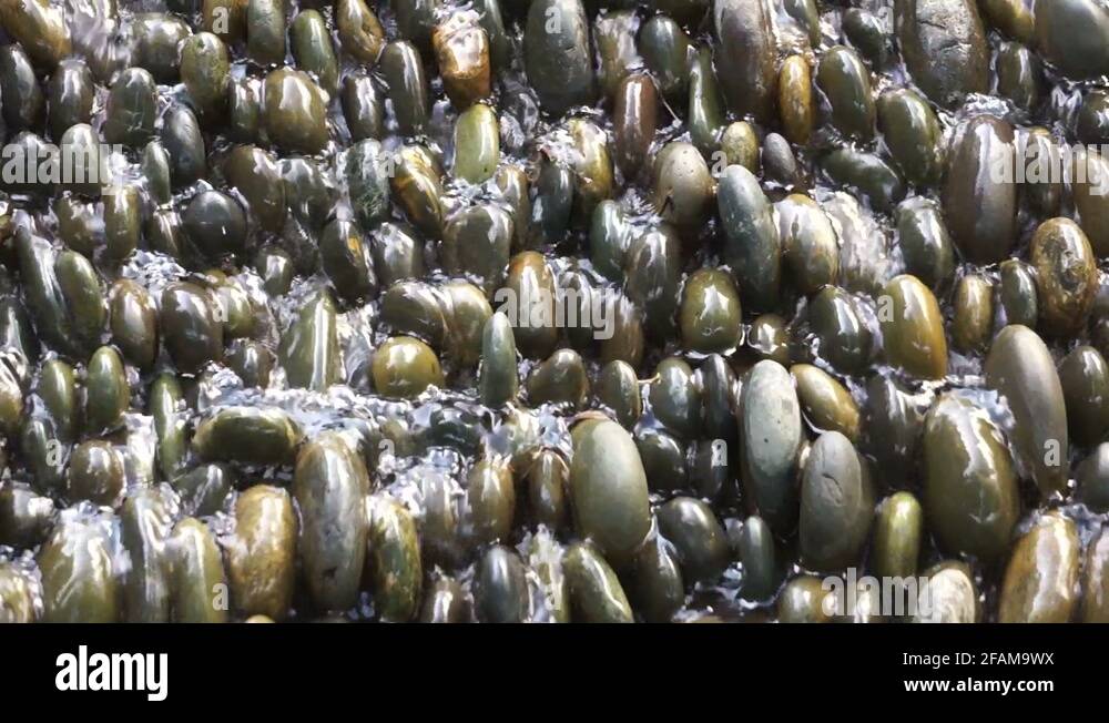 Smooth river rocks Stock Videos & Footage - HD and 4K Video Clips - Alamy