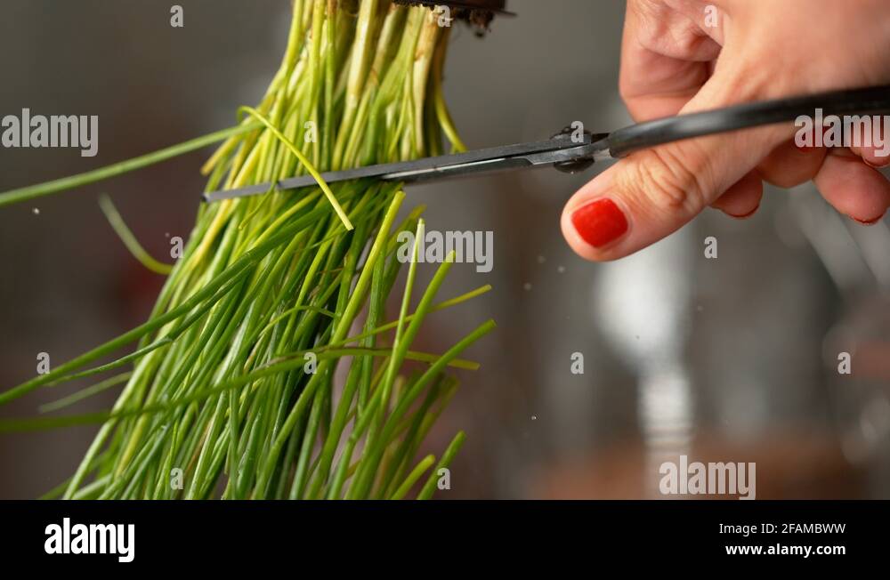 Chives stalks Stock Videos & Footage - HD and 4K Video Clips - Alamy