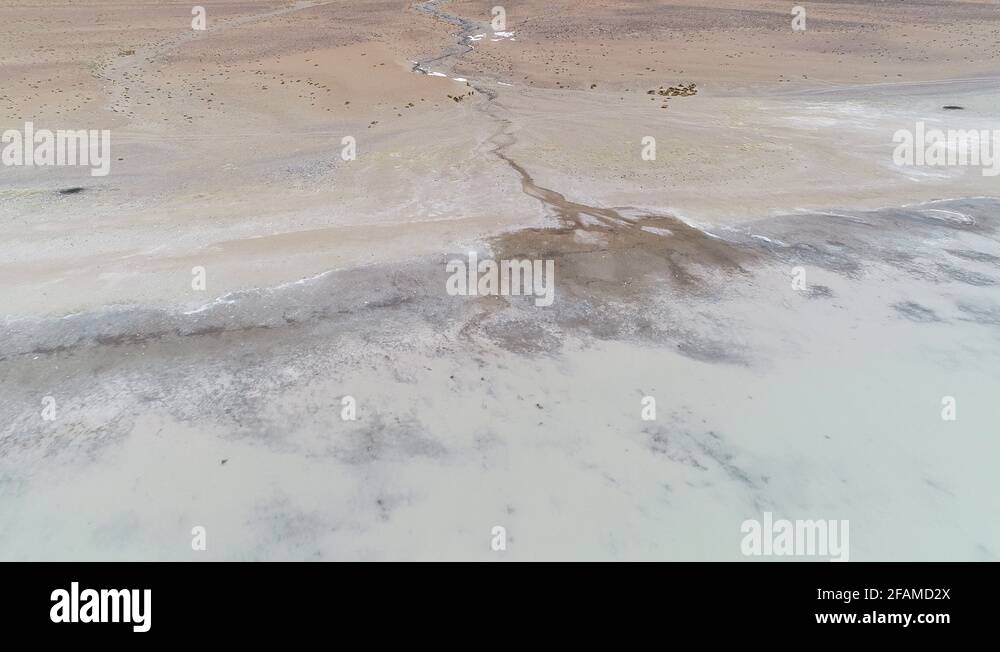 Dry puna vegetation Stock Videos & Footage - HD and 4K Video Clips - Alamy