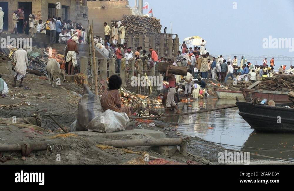 Daily life in the ghats of the Ganges river Stock Video Footage - Alamy