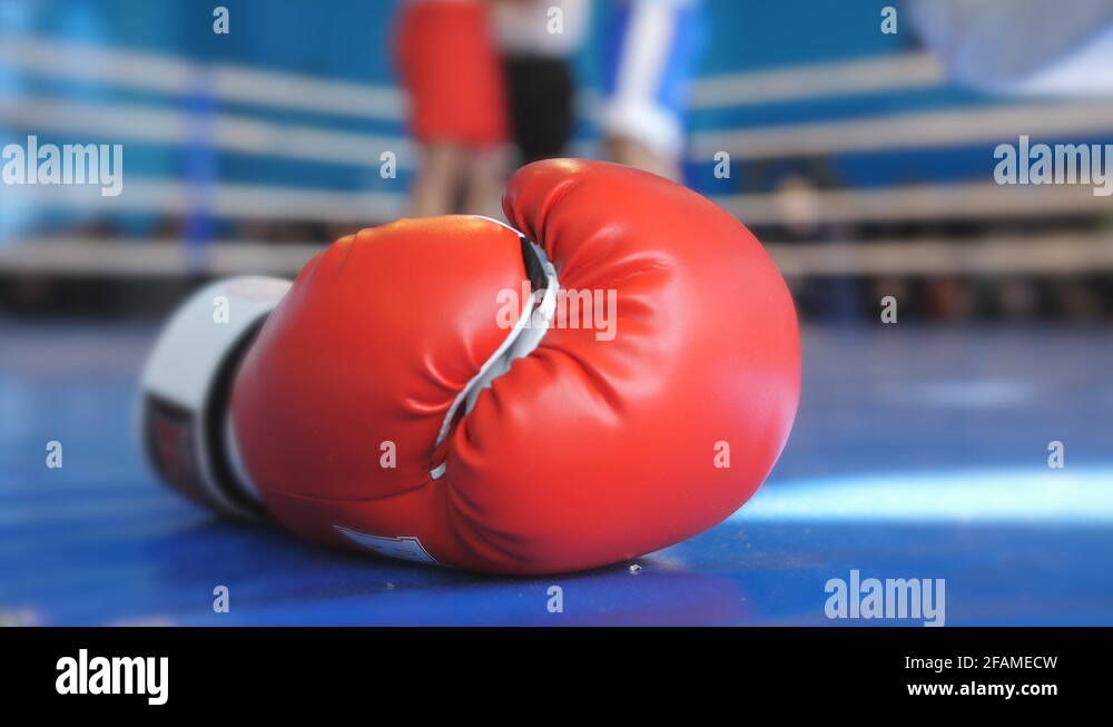 Boxing gloves still life Stock Videos & Footage - HD and 4K Video Clips ...