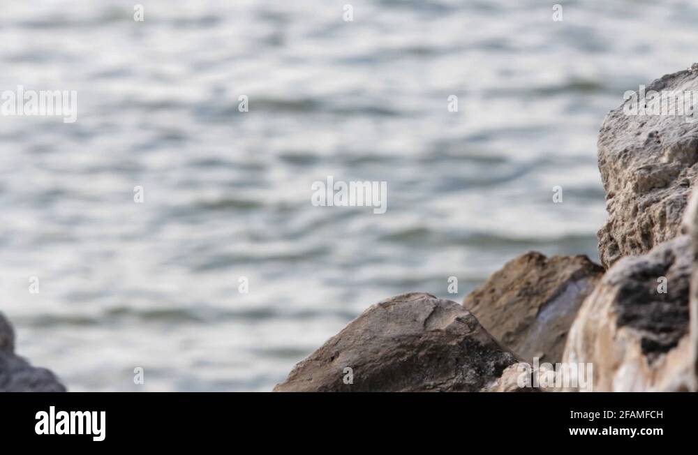 Blurry water Stock Videos & Footage - HD and 4K Video Clips - Alamy